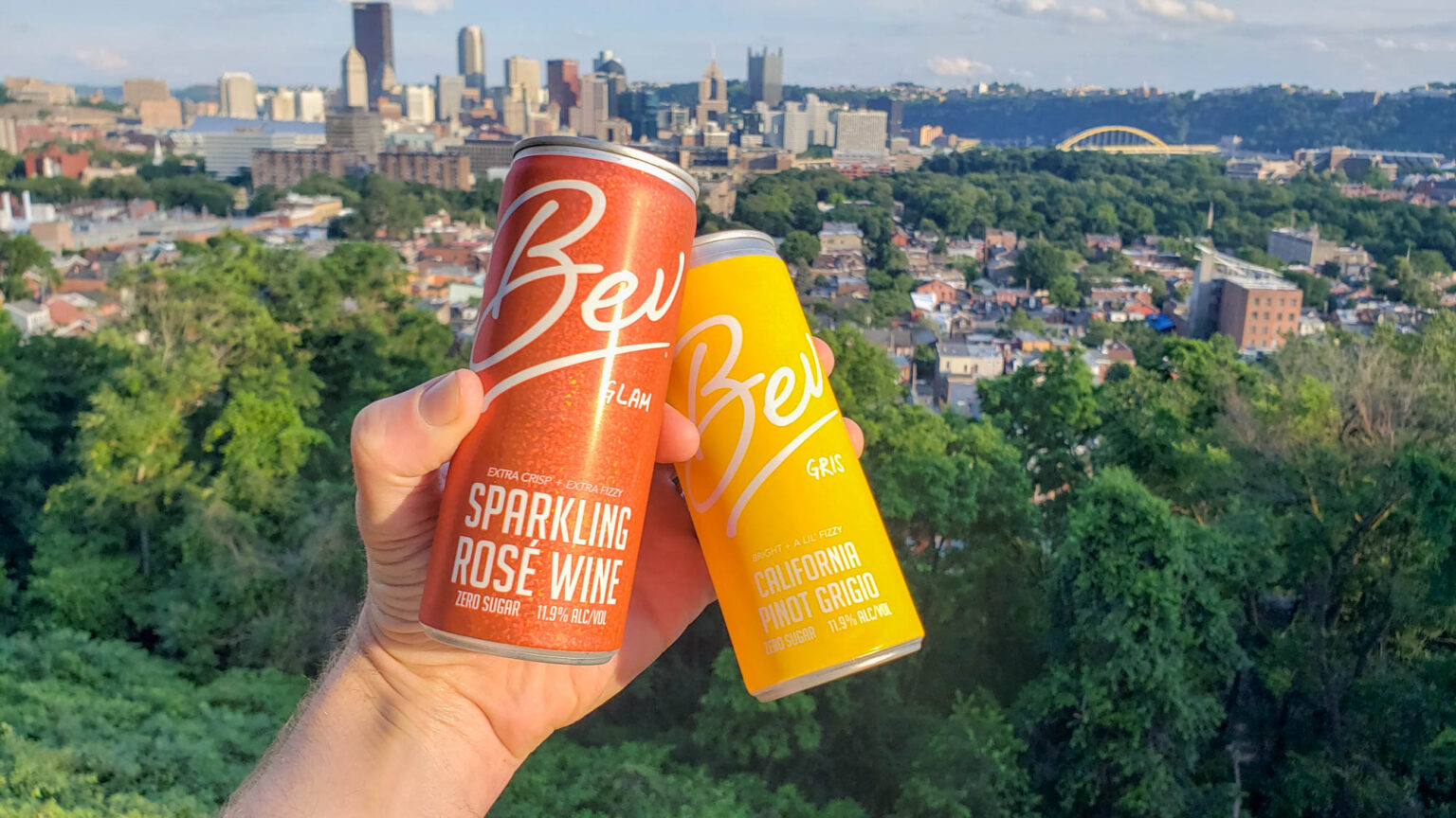 Bev Wines Review - Canned Wine Best For Sipping Outside
