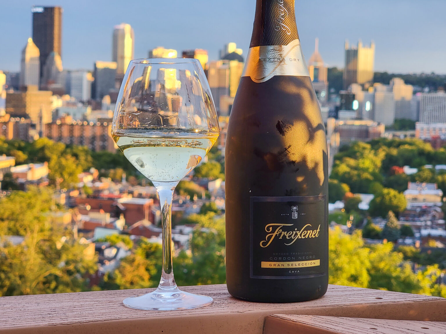 Freixenet Cordon Negro Gran Seleccion NV Review - Mild Cava