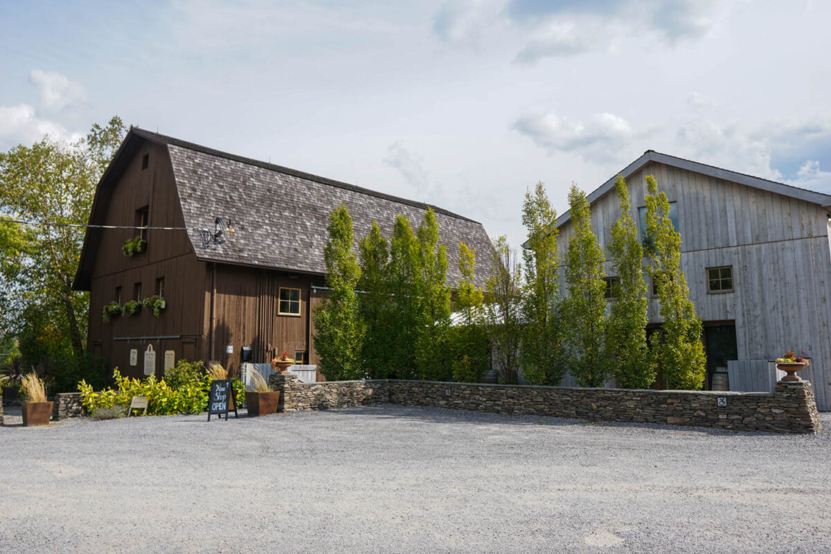 How to Plan a Finger Lakes Wine Tour – Tips & Advice